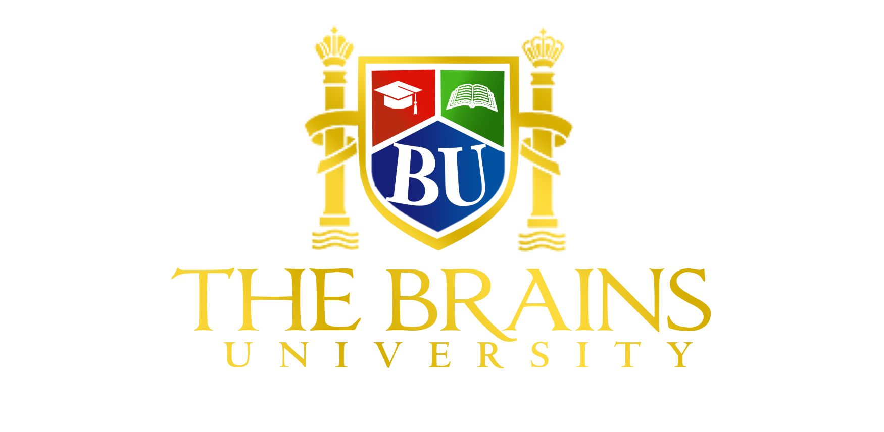 The Brains University